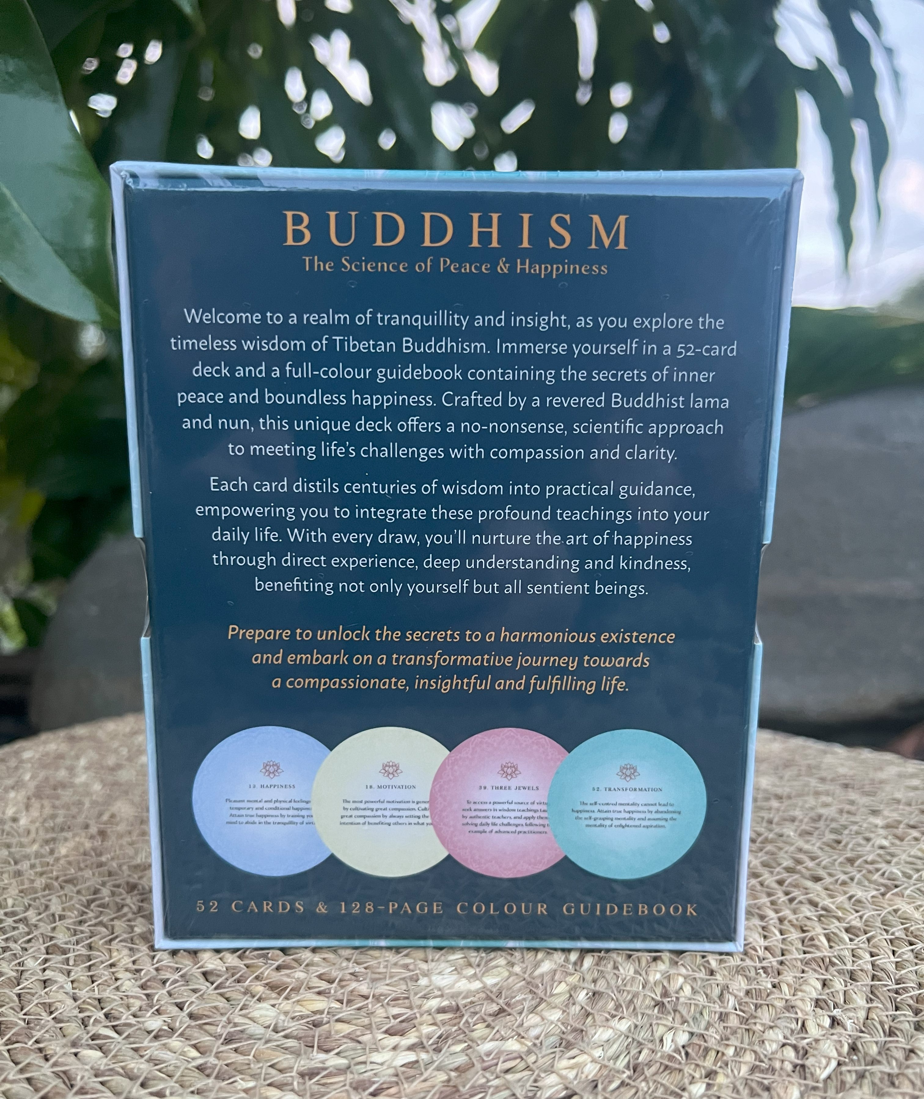 Buddhism Oracle Card Deck – SACRED HEALING COLLECTIVE